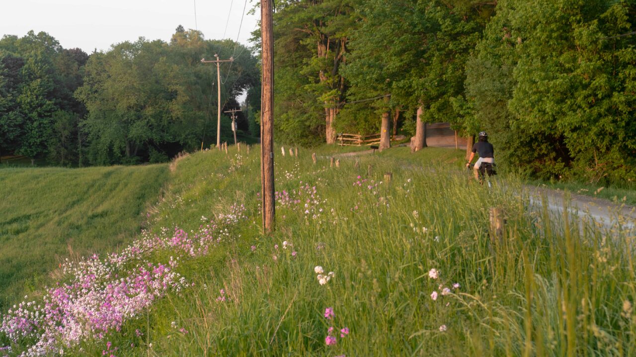 Hamilton-Brantford Rail Trail | theDRIVESIDE