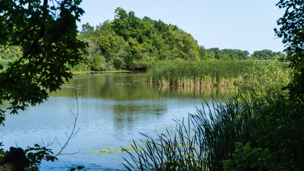 Waterfront East Trail | theDRIVESIDE